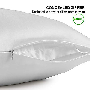 ALASKA BEAR Silk Pillowcase Cover for Hair and Skin, 100% Mulberry Silk Pillow Cases Queen Size for Bliss Sleep with Random Scrunchy Gift Set Better Than Poly Satin, Zipper Closure, 1pc, Cool White