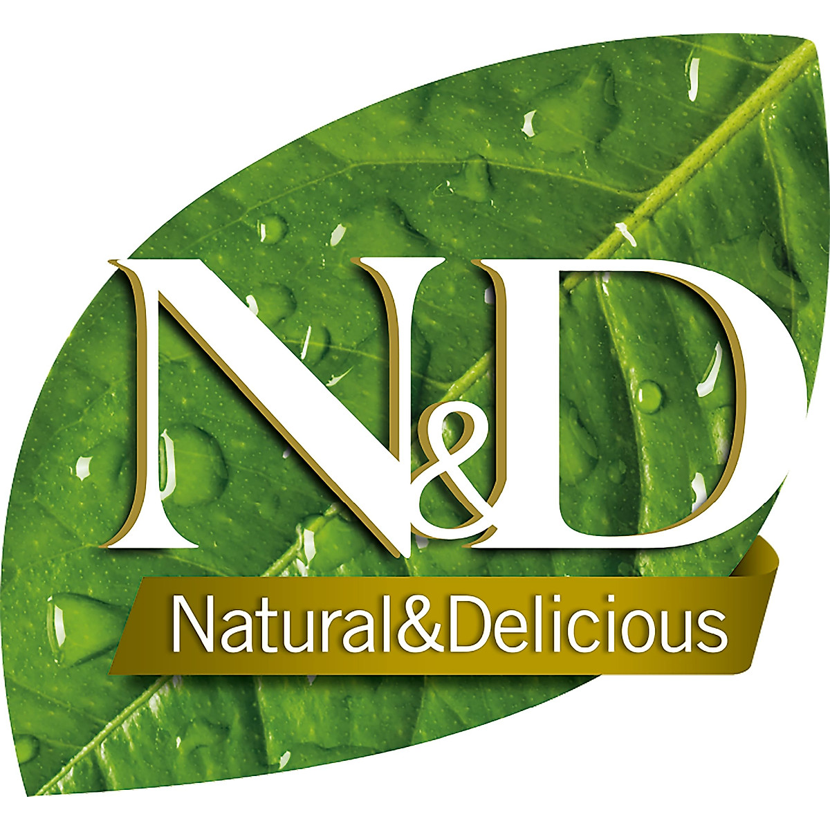 Lamb & Blueberry Adult Medium & Maxi