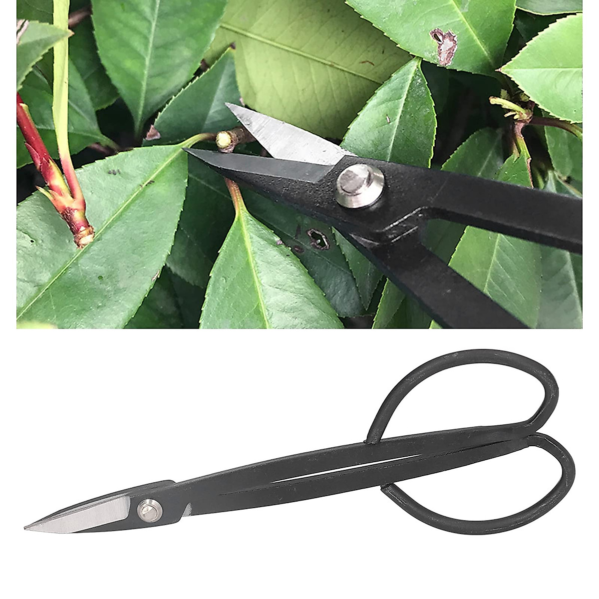 Plant Branch Scissors 58HRC Rust Resistant Steel Bonsai Scissors Cut for Garden Flower Arranging