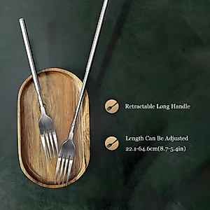 Haosie Extendable Fork, 8.7 to 25.4 Inch Long Fork, Telescopic Fork, Retractable Fork BBQ Dinner Fruit Dessert Extended Fork Sturdy and Durable Stainless Steel Tableware（1pcs）