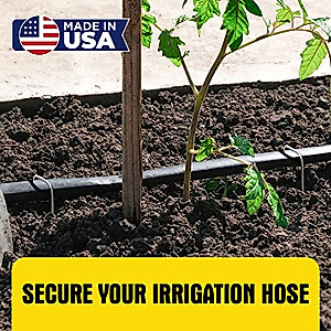 Homestead Choice 6 Inch Galvanized Landscape Staples - 100 Metal Garden Stakes for Gardening - 11 Gauge Anti-Rust Heavy-Duty Ground Sod Pins Yard Stakes for Weed Barrier Fabric Irrigation Tubing Hose