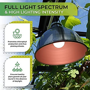 Bio Green 500-USZ Florabooster LUM 500 Grow Indoor 60w Lightbulb Lamp with 3m Connection Cable – Energy Saving House Plants – High Light Intensity, Brushed zinc