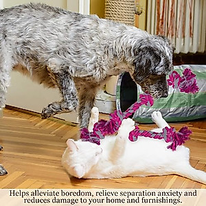 SunGrow Twisted Triple Knotted Rope Bone for Ferret, Parrot & Dogs, Cotton Pink and Gray Oral Chew Toys, 2 Pcs per Pack