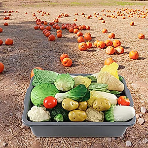 Drephia 4 Pack Commercial Utility Bus Boxes, 23 L Plastic Bus Tubs, Gray