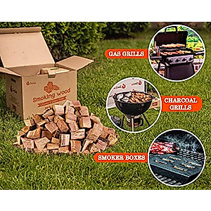 Fire Starter 60+ pc XXL Size - Сharcoal fire Starters - Better Than Lighter Cubes and Firestarter Squares and Zorestar Apple Wood Chunks - 10-12lb of Smoking Wood for Grilling and BBQ