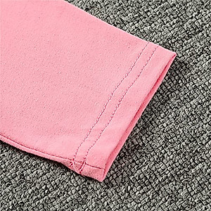 Big Sister Letter Print Blouse Tops Toddler Baby Girls Long Sleeve Garland T-Shirt (Pink, 2t)