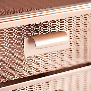 BLU MONACO Monitor Stand Organizer Riser with Drawer, Storage for Computer Desk Laptop, Rose Gold