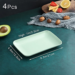 Roucerlin 4 Pack Unbreakable Wheat Straw Plates, Durable Lightweight Cake Plate, Small Reusable Snack Plate for Fruits, Pasta, Salad, Dessert, Dishes, Sushi (8.3in, Green)