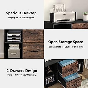 Tribesigns 2 Drawer File Cabinet, Large Mobile Lateral Filing Cabinet for Letter Size, Printer Stand with Storage Shelves and Rolling Wheels for Home Office (Black/Rustic)
