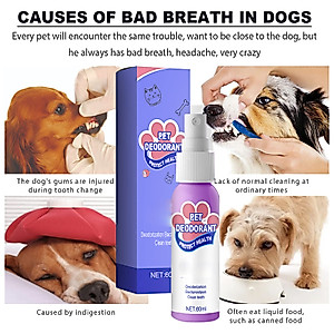 Petry Oral Spray - Petry Teeth Cleaning Spray for Dogs & Cats, Pet Breath Freshener Spray Care Cleaner, Pet Bad Breath Treatment (1 Pc)