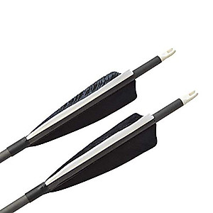 AMEYXGS 6/12pcs Carbon Arrows 34inch Practice Arrow with True Feathers and Detachable Arrow Tips 500 Spine Shooting Practice Arrows for Compound Bow Recurve Bow (12pcs)