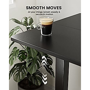 ErGear Height Adjustable Electric Standing Desk, 48 x 24 Inches Sit Stand up Desk, Memory Computer Home Office Desk (Black)