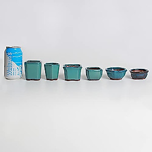 Happy Bonsai 6 pc Mini Glazed Pots Value Set + 6 Soft Mesh Drainage Screens