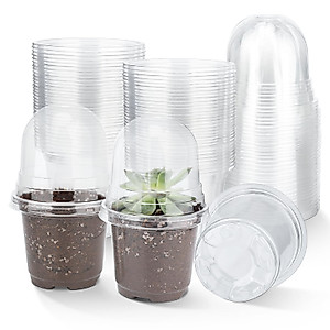KINGLAKE GARDEN 4'' Plant Nursery Pots,Clear Nursery Pots with Humidity Dome,32 Sets(32 Pots + 32 Clear Lids) Plastic Plant Pots for Transplanting Plant/Succulents/Seedlings(with 10pcs Plant Labels)