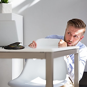 LXS Rubber Snakes to Keep Birds Away - 4 Pieces Realistic Fake Rubber Snake Toys for Garden Props to Scare Birds, Squirrels and Mice