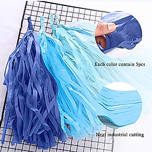 Binpeng Tissue Paper Tassel DIY Hanging paper decorations Party Garland Decor for Party Decorations Wedding,Festival,Baby Shower Decoration 35c m20PCS