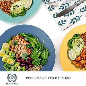 Flat Dinner Plates Set of 8 Alternative for Plastic Plates Microwave and Dishwasher Safe Wheat Straw Plates for Kitchen Unbreakable Kids Plates with 4 Colors (Multi,10 inch)