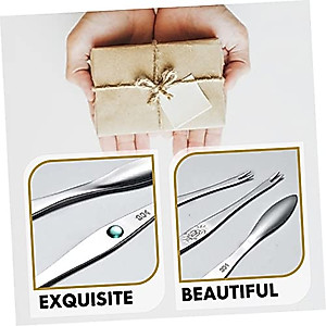 Healvian 5pcs Stainless Steel Crab Fork Tool Heavy Duty Forks Seafood Tools Lobster Eating Tools Prawns Picks Seafood Opener Tool Set Crabs Eating Tools Kit Crabs Eating Fork Silver