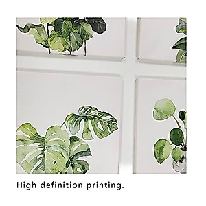kk·color Botanical Prints Wall Art for Living Room,Canvas,riginal Designed Green plant watercolor painting,Green leaves,Wall art for Office Bedroom BathRoom 4 Piece 12" X 12"