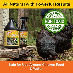 MICROBE-LIFT Chicken Coop Cleaner and Odor Eliminator, Use on All Surfaces and Supplies, Turns Chicken Poop Into Fertilizer, Ammonia Reducer, Highly Concentrated and Safe Formula, 32 Ounces