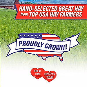 Small Pet Select - Value Choice Timothy Hay, 8lb