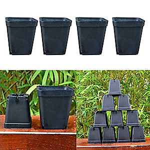 NUOBESTY 2 Inch Black Square Flower Pots Small Plastic Plant Pots 100PCS Square Flower Plant Pots Mini Succulent Pot for Cactus Bonsai