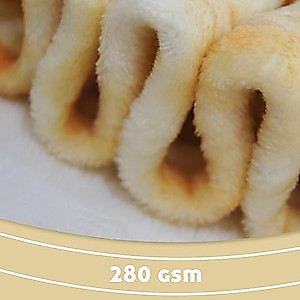 moonysweet Pizza Blanket for Adult and Kids Novelty Food Blanket Adult Size Funny Realistic Throw Blanket Fuzzy Fleece Blanket Flannel Gift for Teens Boys and Girls 60 inches