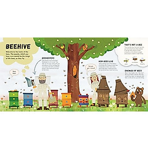 Discovering the Busy World of the Beehive (Happy Fox Books) Board Book Teaches Kids Ages 3-6 about Bees, Exploring a Hive with Each Page, plus Educational Facts and Vocabulary Words (Peek Inside)