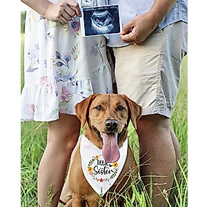 Ptzizi Funny Little Sister White Wreath Cotton Triangle Dog Bandana Pet Dog Bibs Scarf, Small Medium Large Boy Pet Dog Birthday Party Props for Pet Dog Lovers Gift