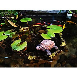 donau Garden Statues Turtle Figurines Polyresin Garden Sculpture Turtle Decor 5.1 inch