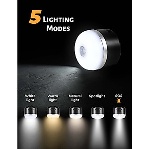 Wildley Camping Lantern, 600LM Camping Lights, 5 Light Modes Rechargeable Lantern Waterproof Mini Flashlight Emergency Lights for Home Power Failure, Camping Hanging, Car Camping (Black)