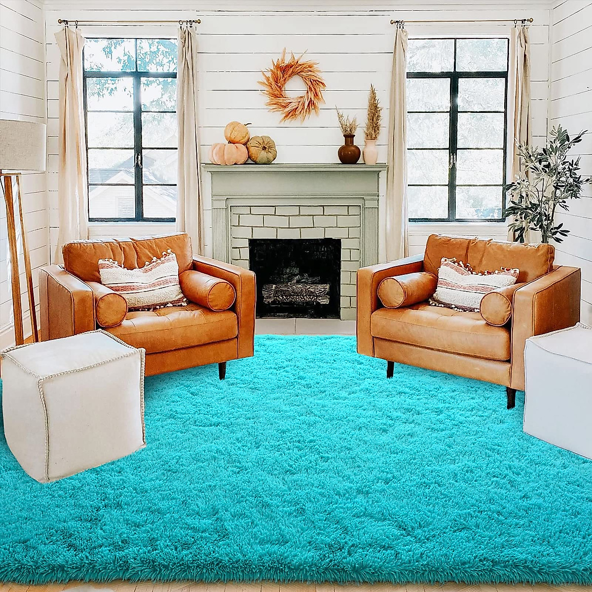 ISEAU Fluffy Rug Carpets Soft Shaggy Area Rug Indoor Floor Rugs for Kids Room Fuzzy Carpet Comfy Cute Nursery Rug Bedside Rug for Boys Girls Bedroom Living Room Home Decor Mat, 5ft x 8ft, Teal Blue