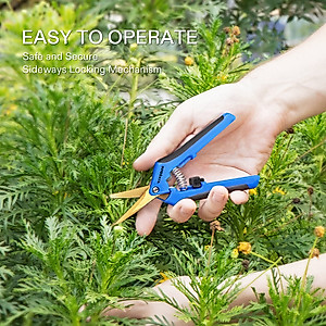 VIVOSUN 2-Pack Curved Gardening Scissors 6.5 Inch Hand Pruner Shear with Titanium Coated Precision Blades