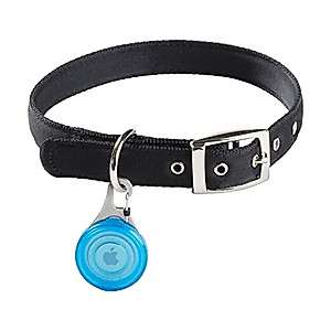 Nite Ize, Inc. WATP-03T-R6 Nite IZE Wearabout Clippable, Apple AirTag Locking Carabiner for Pets, Blue Tracker Holder