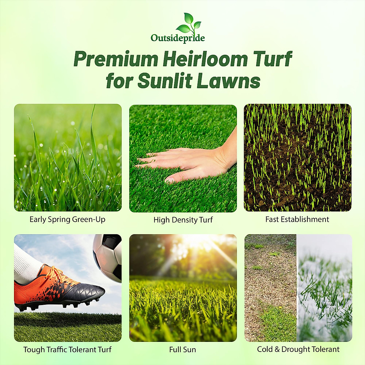 Outsidepride Full House Bermuda Grass Seed Mix - 2 lbs. Premium Warm Season Turf Blend of Traffic & Drought-Tolerant Monaco & Hollywood Bermuda Grass Seeds for Lawn, Golf Courses & Fairways