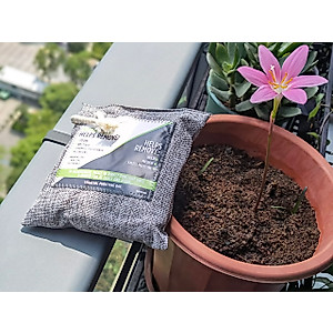 3 Pack Bamboo Activated Charcoal Odor Absorber, Bamboo Charcoal Air Purifying Bag, Activated Charcoal Odor Absorber for Closet,Pets,Shoe, Car, Basement Musty Odor Eliminator Deodorizer( 3x200g each)