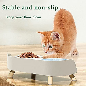 Cat Food Bowls, Elevated Ceramics Dog Cat Bowls Stand with No-Spill Design,3 Adjustable Heights Anti Vomiting Cat Water Bowl,5 inches Raised Bowl for Medium and Small Size Dog Cats