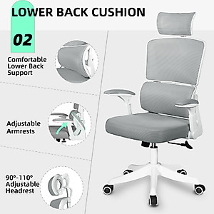 Ergonomic Office Chair Lumbar Support, High Back Office Chair with Adjustable Headrest and Arms, Mesh Computer Desk Chair Tilt Function, Swivel Task Chair 300lbs for Home Office, Grey