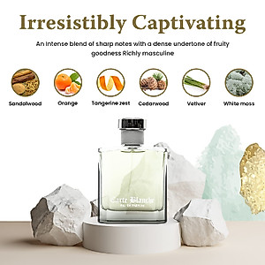 Eclectic Collections Cologne For Men - INSPIRED by I A ING Men Cologne - Tangerine, Orange, Cranberry, Cassis - Confident, Vibrant, Fruity, Assertive (3.4 fl oz / 100 ml)