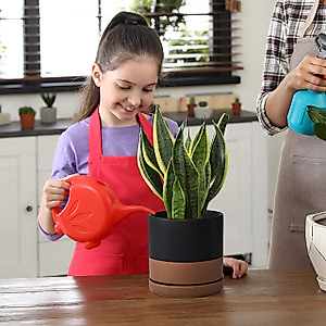 D'vine Dev 6 Inch Ceramic Planter Pot with Drainage Hole and Saucer, Indoor Cylinder Round Planter Pot, Black/Speckled Tan, 94-O-S-7