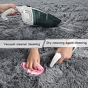 PAGISOFE Fluffy Shaggy Area Rug, Rugs for Bedroom 3x5, Soft Fuzzy Rugs for Girls Boys Bedroom, Kids Room, Furry Throw Rugs for Dorm, Shag Carpet for Nursery Decor, Small Bedside Rug, Grey