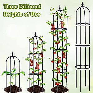 Trellis for Climbing Plants Outdoor, deaunbr Garden Plant Support Tall Tower Obelisk Vine Cages Plastic Coated Rustproof Metal Pipe Supports for Outdoor Indoor, Potted Plants, Tomato, Rose - 1 Pack