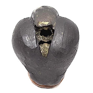 Dhumavati Shaligram/Adwaitya Golden Dhumavati Dasha MahaVidya Shaligram, Fossil, Fossil