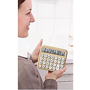 LOCOCK Standard Function Desktop Calculator, 12-Digit Large LCD Display and Big Round Buttons for Office, School, Home,Business Use (Pink)