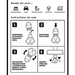 Hanging Fragrance Diffuser (Apple & Cinnamon) | Cute Car Accessory | Long-Lasting Scent | Air Deodorizer, Freshener