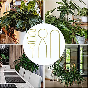 6Pcs Plant Trellis, Gold Trellis for Climbing Plants Indoor, Mini Trellis for Potted Plants Support Stake House Plant Trellis for Garden Potted Plant, Hoya, Pothos, Flower, Monstera