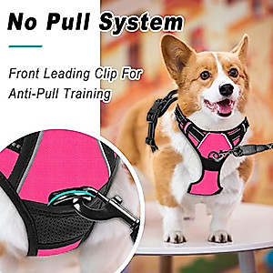 BARKBAY No Pull Pet Harness Dog Harness Adjustable Outdoor Pet Vest 3M Reflective Oxford Material Vest for PINK Dogs Easy Control for Small Medium Large Dogs (L)