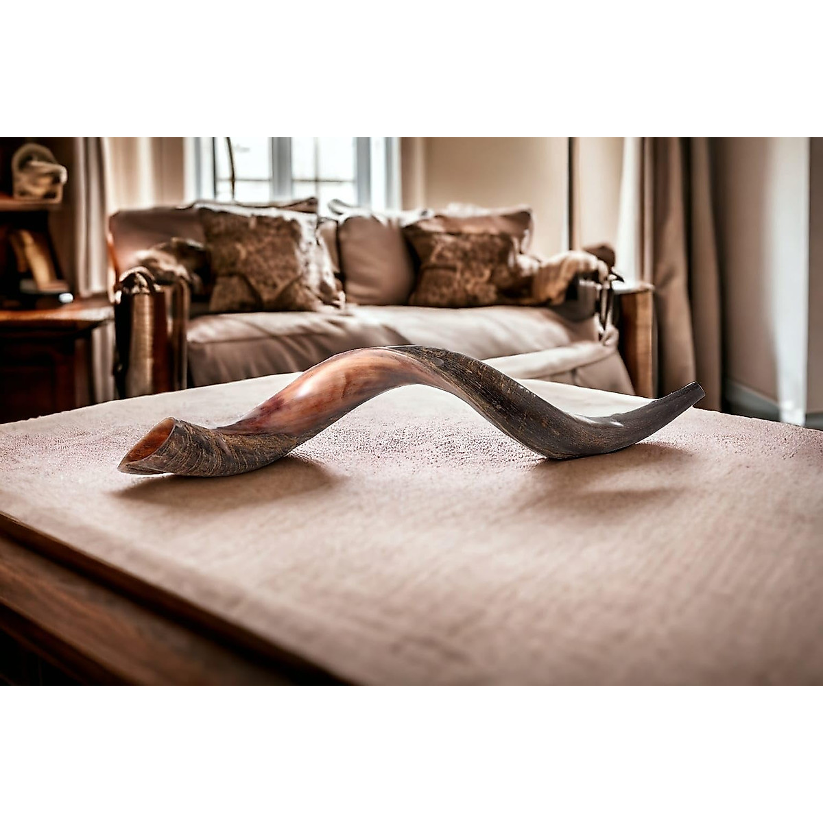 40"- 42" Extra Large Yemenite Kudu Horn Half Polished Finish and Half Natural Shofar, with Free Anti Odor Spray and Bag, Made in Israel