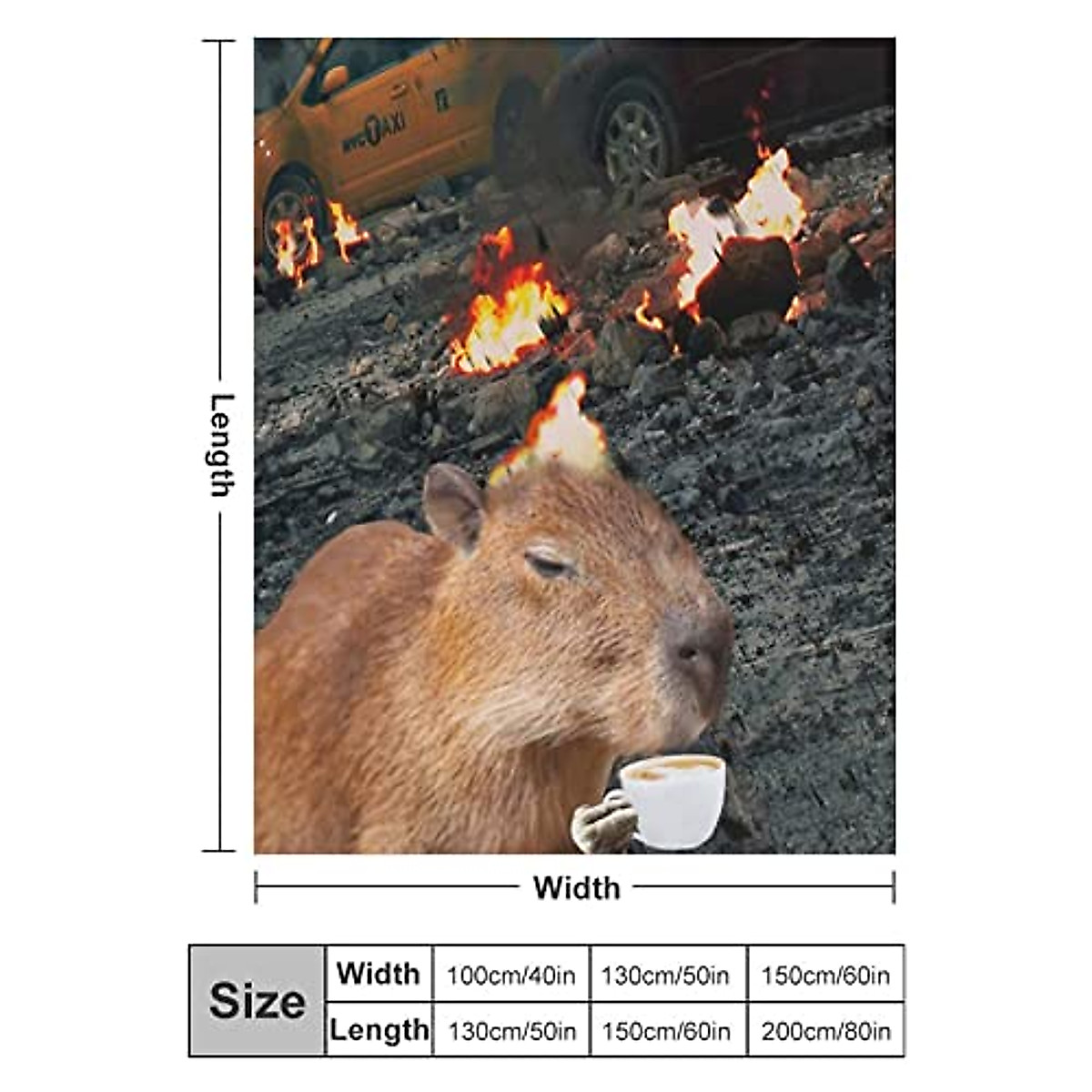 Capybara Sipping Coffee Blanket Gifts, 40"*50" Flannel Throw Blanket, Soft Warm Fuzzy Fluffy Plush Blankets for Girls Boys, Gifts for Capybara Lovers for Sofa Couch Bed Travel Room Decor