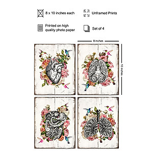 Human Anatomy Floral Hummingbird Wall Art Poster Set - 8x10 Rustic Heart, Brain, Lungs for Doctor, Medical Office, Living Room, Bedroom - Shabby Chic Goth Gift for ER Nurse Practitioner, RN, CNA